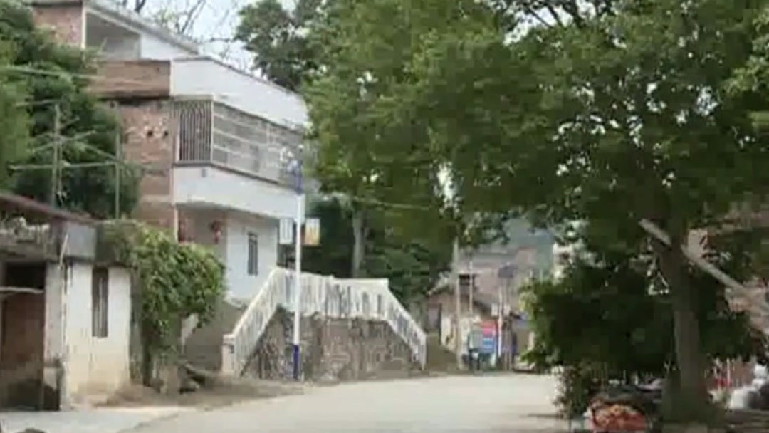 生前与狗只口水接触 村民感染狂犬病身亡