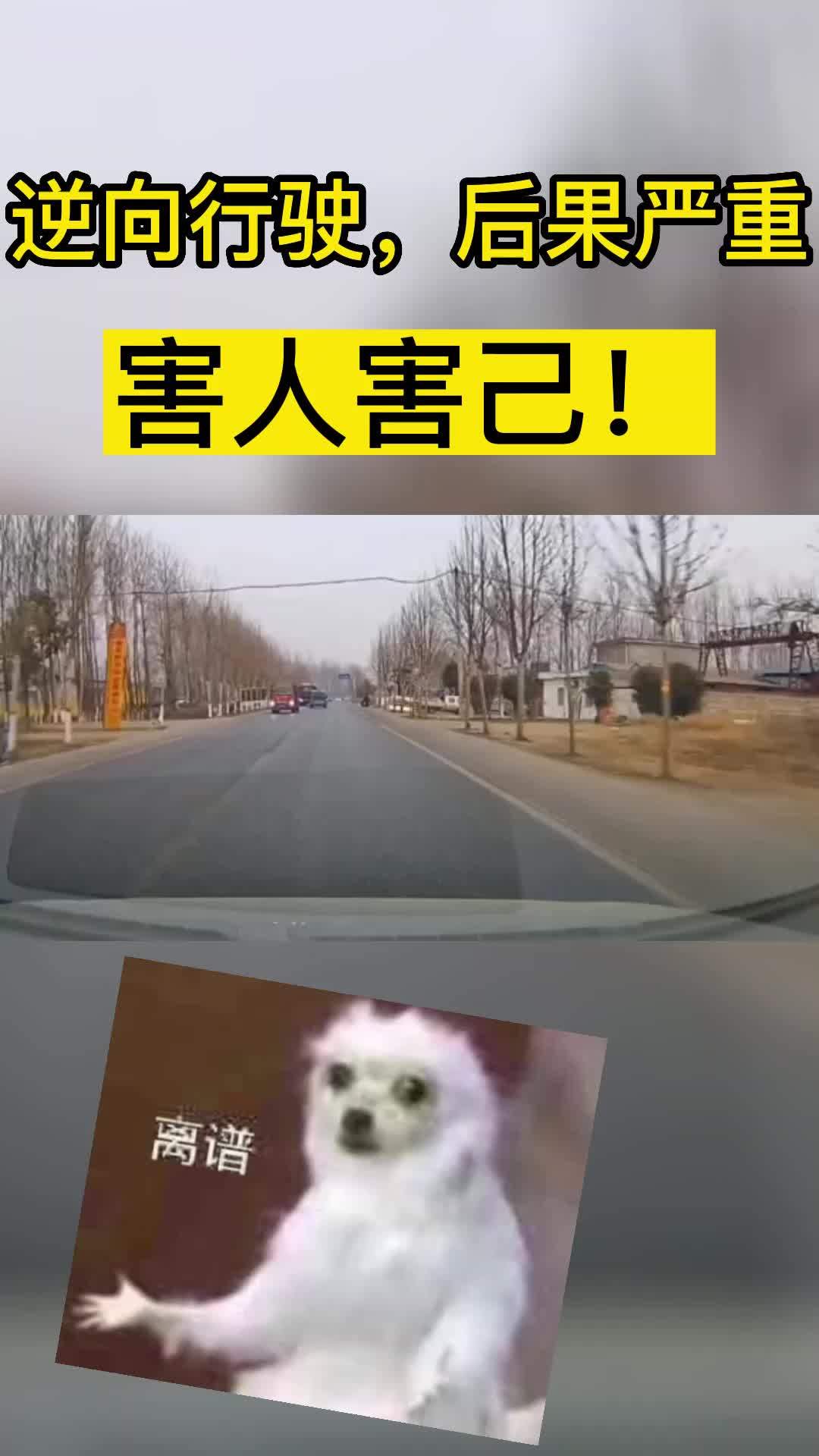 逆向行驶,后果严重,害人害己!