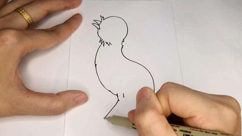 简笔画小鸟,一分钟快速画完