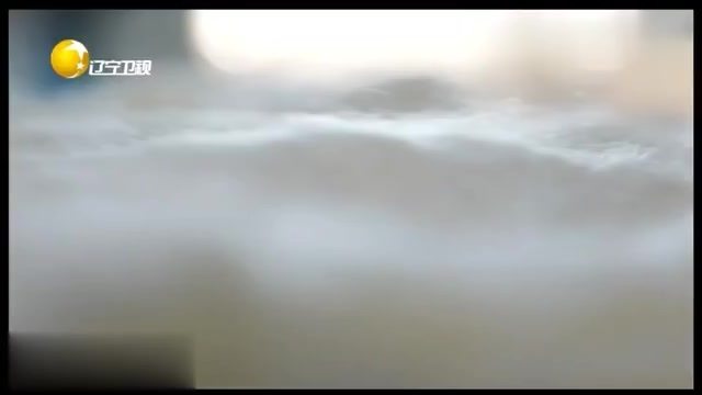 走进蚕丝被制作工厂,十斤的...