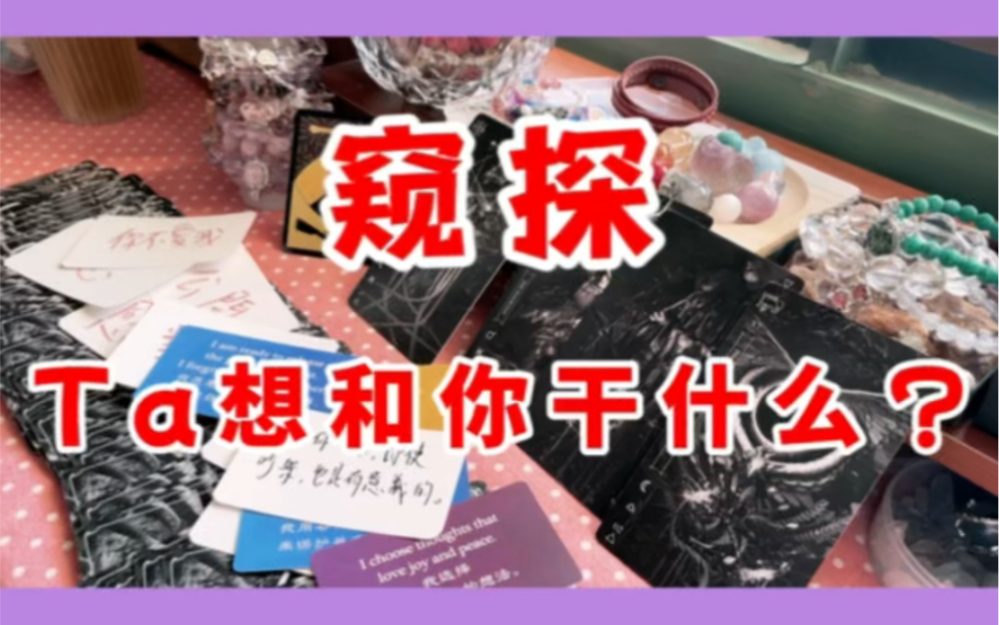 咩咩塔罗|下次链接ta想和你干嘛?