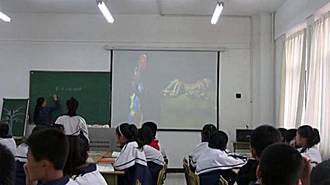 3.人教版初中生物八年级上册《第一节 动物的运动》内蒙古市级优课