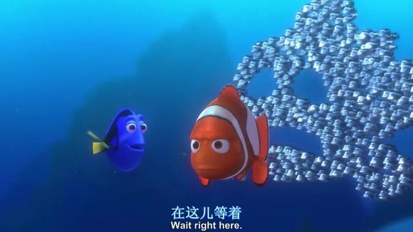 海底总动员,团体表演很精彩