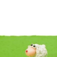 我再不愿像只孤鸟单飞 