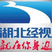 湖北经视 