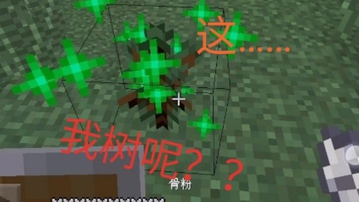 我的世界:想种树发家致富,却一无所获