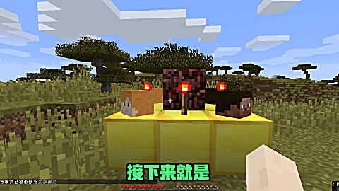 我的世界:如何同时召唤HIM和AIM?怎么突然发生这么大的爆炸!