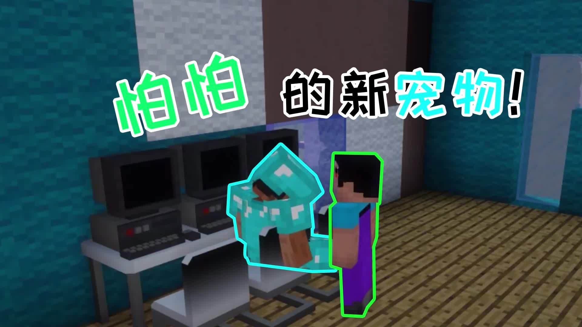 我的世界:怕怕的新宠物?