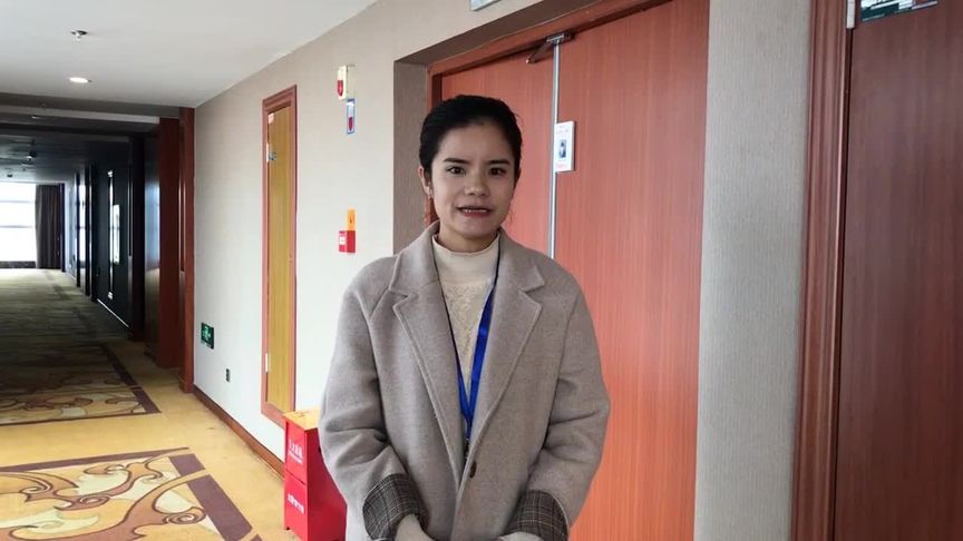 #娄底市第四次妇女代表大会 开幕式part2