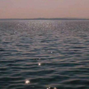 海平面上的小星星 