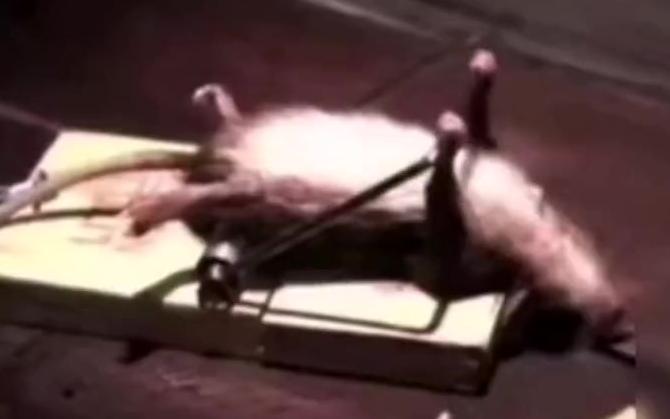 盘点战斗民族的奇葩操作,这很俄罗斯搞笑视频