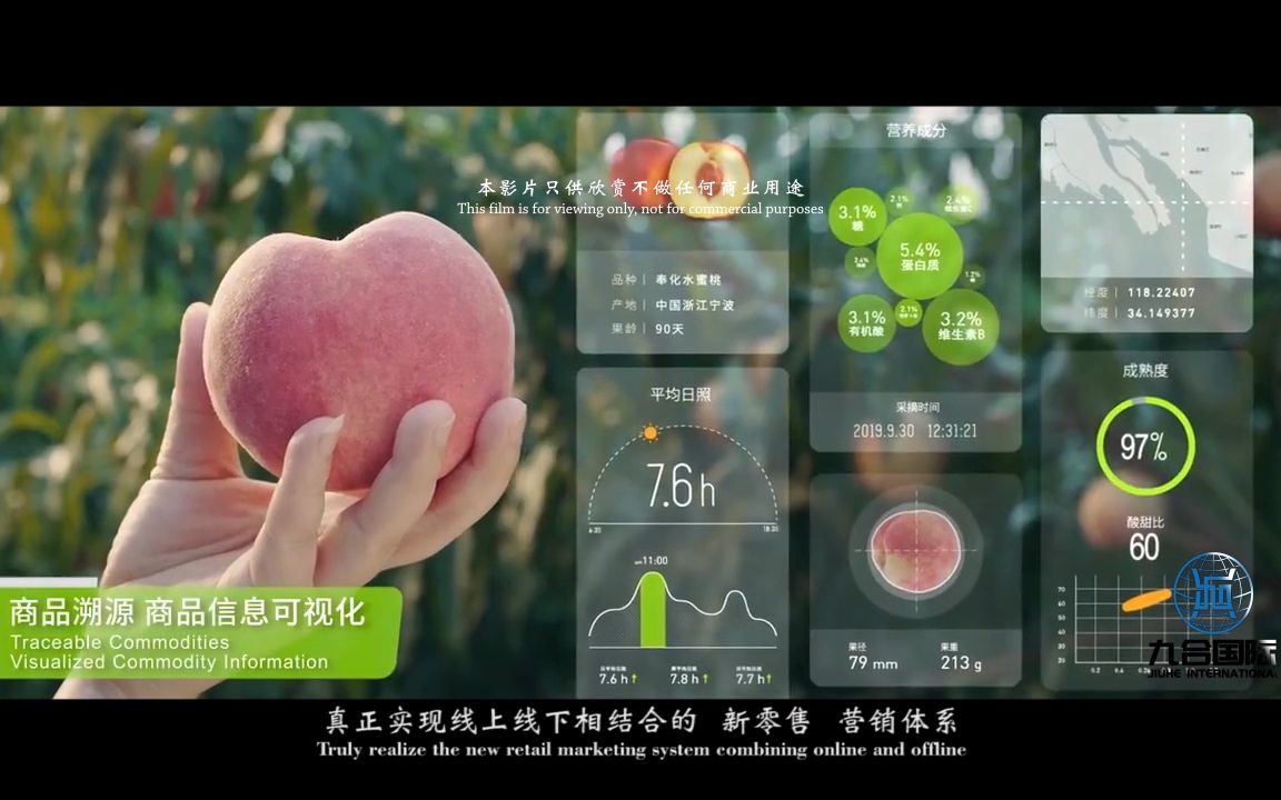 乡村振兴,现代化智慧农业,现代农业发展的综合性服务平台