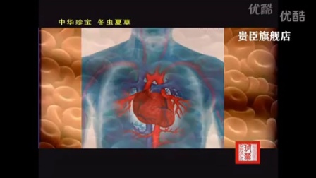 冬虫夏草的作用你了解多少?