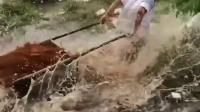 搞笑一家人:新型冠状病毒很猖狂哦