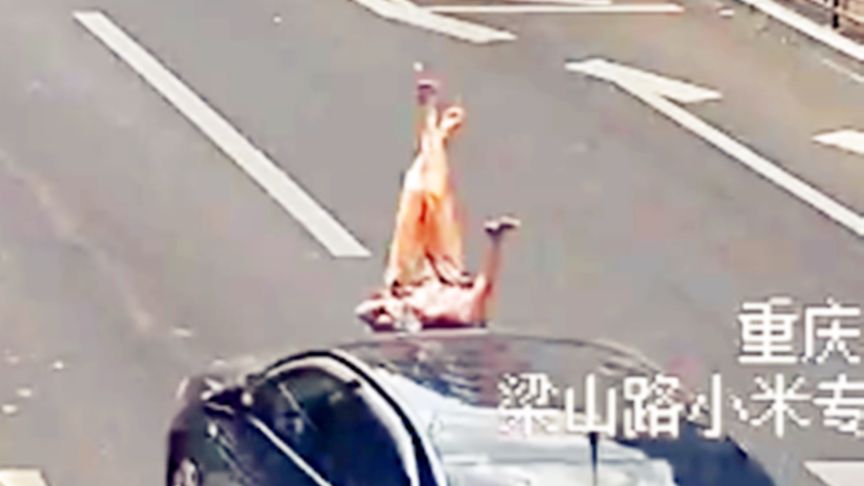 轿车斑马线不礼让行人 一名女子被撞飞