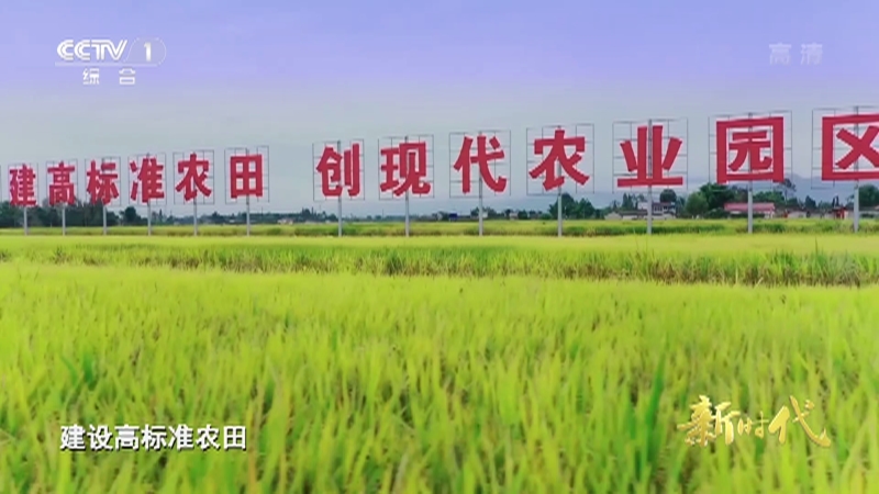 《新时代》 第3集 非凡成就