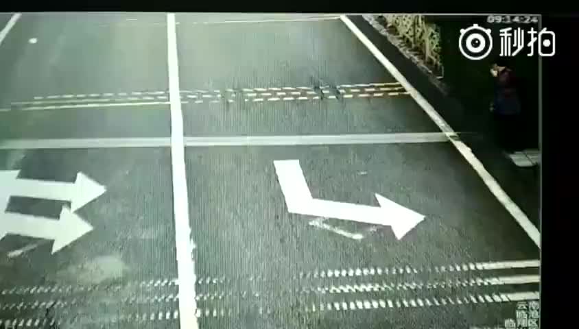 交通事故的损失是由非机动车驾驶人、行人故意碰撞机动车造成的,...