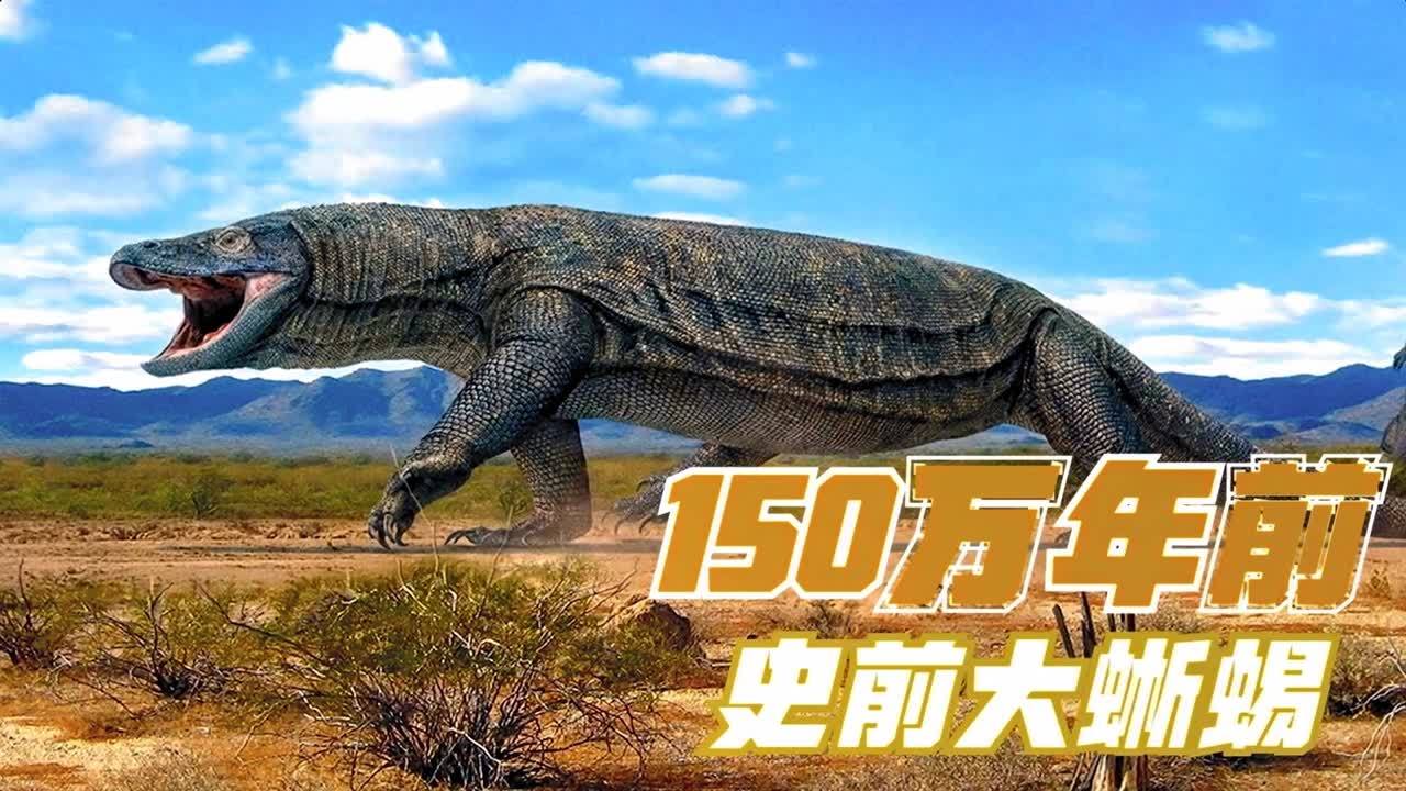 模拟城市5大蜥蜴