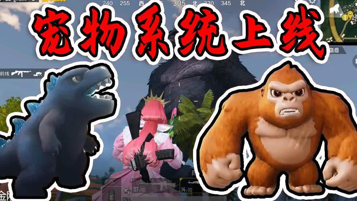 吃鸡游戏解说:"宠物系统"上线,迷你哥斯拉+迷你金刚,超可爱