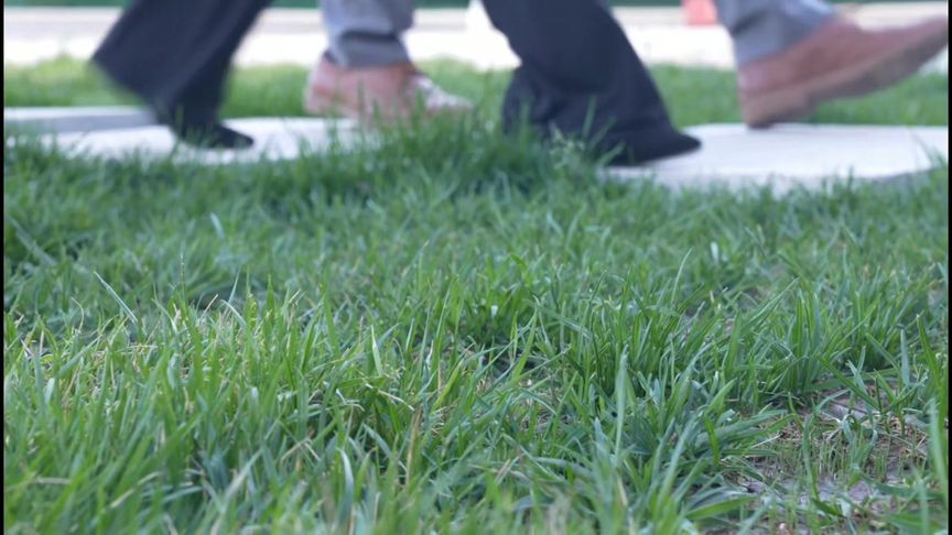 你见过门外就是大草坪的会议室吗?阳光会议室,工作度假两不耽误