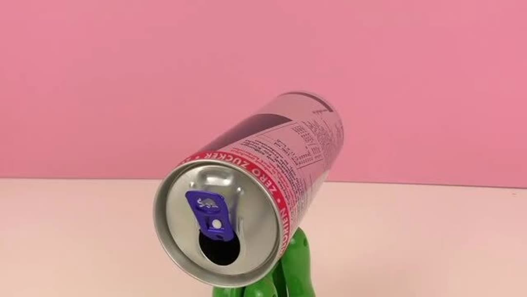 Eco 儿童 DIY 手工 制作 科学 实验 废物 回收 利用 简易 创意 组