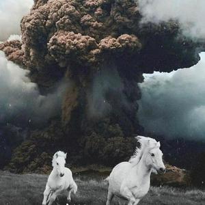 东弟收售二手网约车 