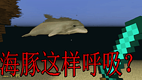 我的世界: 原来海豚在海里是这样呼吸的