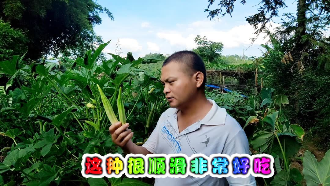 网上买的种子种了3个月终于结出果实了