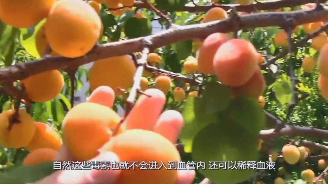 医生强调:预防血管疾病很简单,多喝水有很大功效,人们都不注意