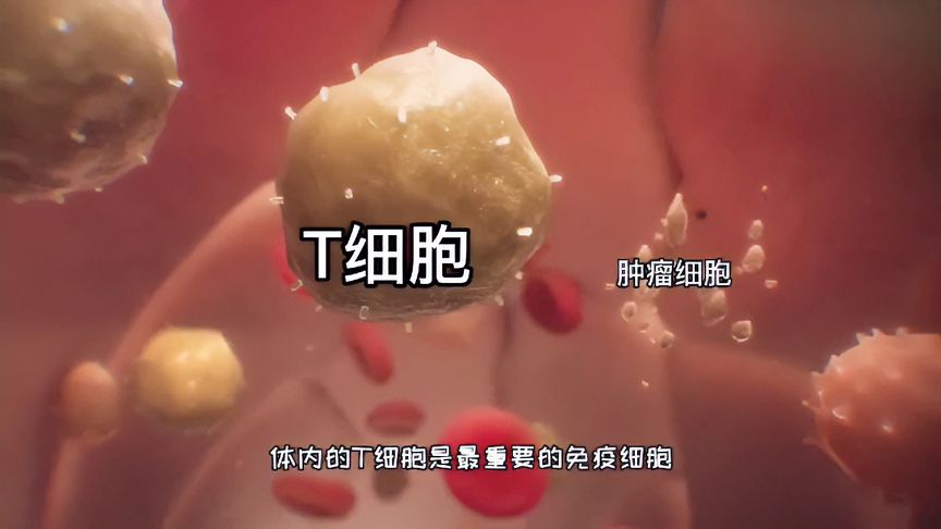 120万一针的CAR-T治疗能让肿瘤细胞清零?看看原理,3D演示。