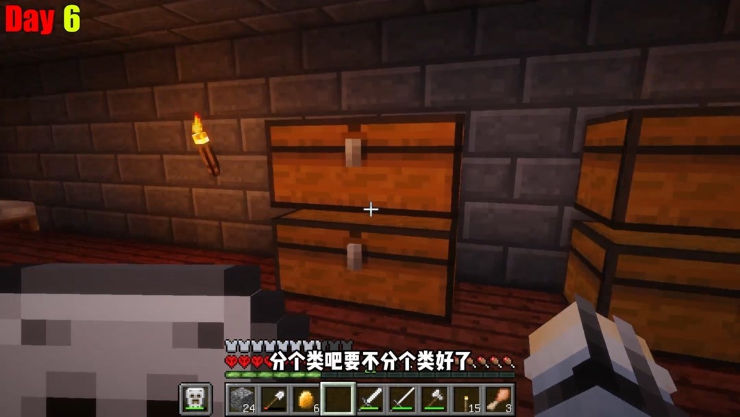 我的世界畸变天极限生存第五期我的世界