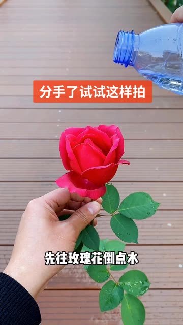 失恋女孩看过来!这种拍摄手法可以完美表达你的心情