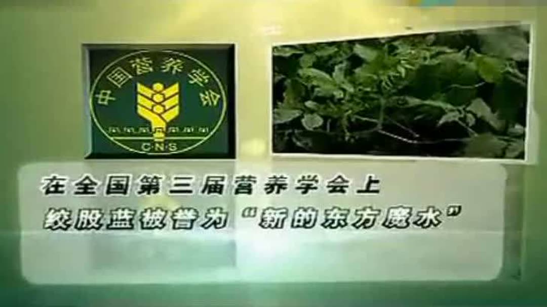 绞股蓝的功效与作用及禁忌,绞股蓝茶多少钱一斤,绞股蓝的副作用