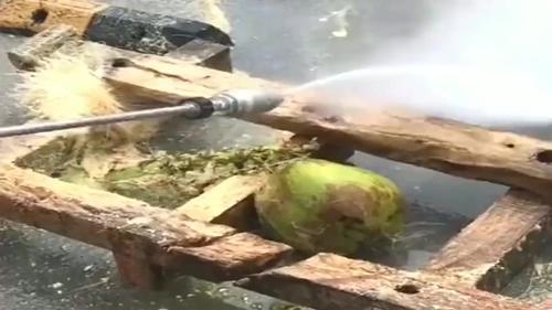 广东人发明的机器?只需要这么挥几下,椰子皮就全剥了下来!