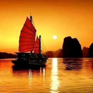 我是冬天的暖阳 
