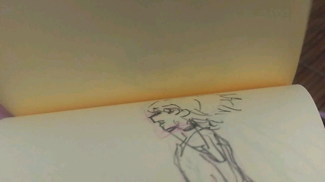 是大半夜无聊花了半小时画的翻页动画