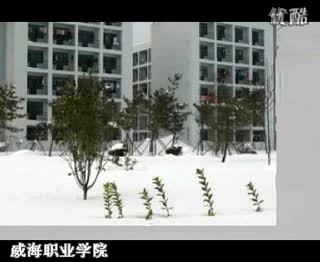 威海职业学院校园景观