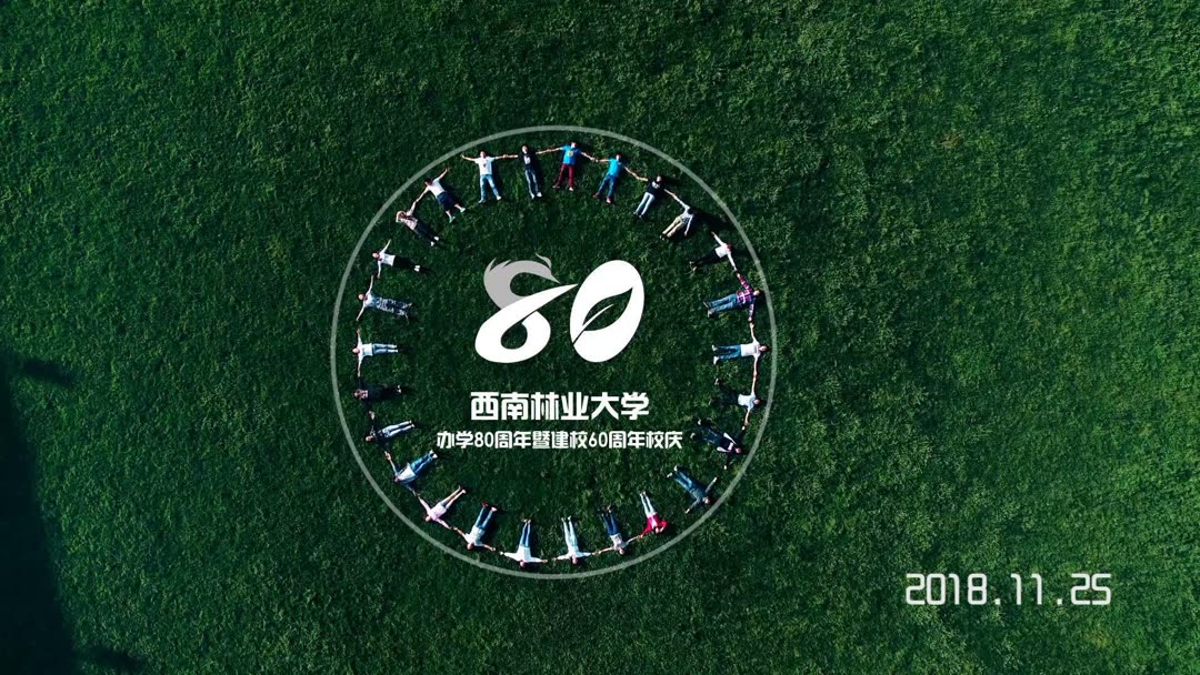 西南林业大学校庆宣传片