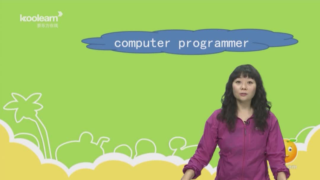 computer programmer