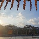 市坊影音 