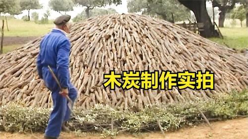 木炭原来是这样烧制的!真的长见识了#劳动人民的智慧 #制作过程