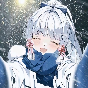 nako碳宝 