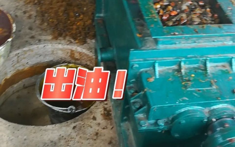 双螺旋棕榈油榨油单机运行现场,棕榈设备,选择国瑞