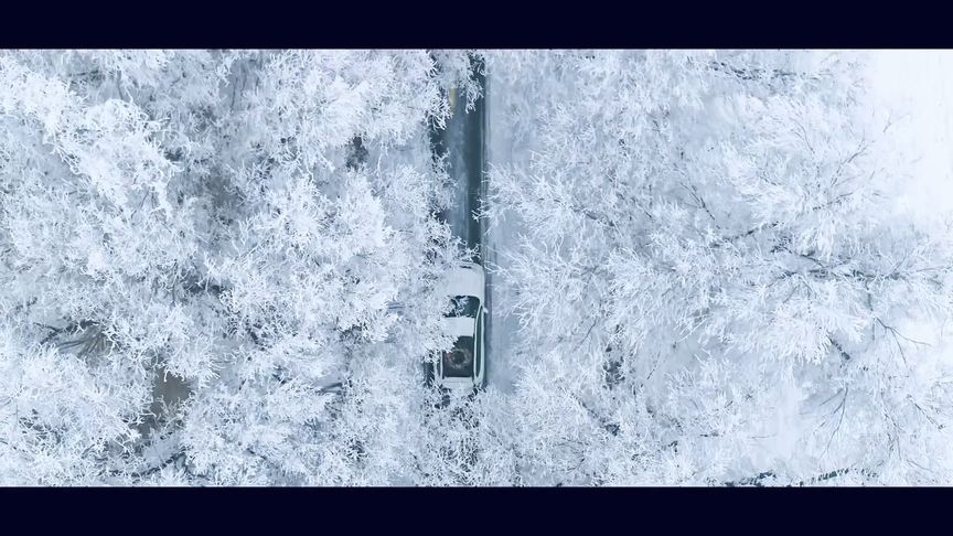 叶里藏花一度,梦里踏雪几何。#我和冰雪有个约会