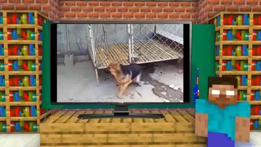 mc动画:怪物学院《him卖狗》,him向同学们介绍他家的大黑狗