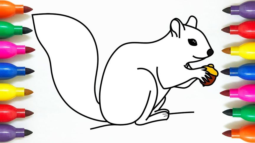 儿童简笔画:可爱大松鼠