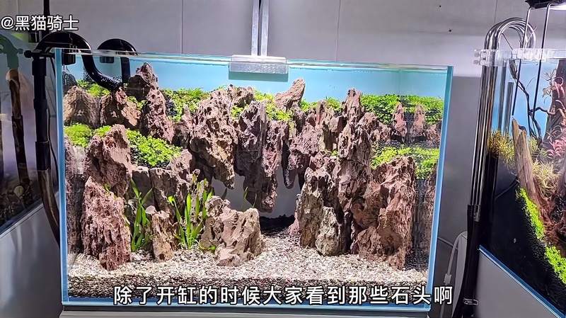 强大的底砂过滤系统草缸,神秘感十足的松皮石景观!草缸造景