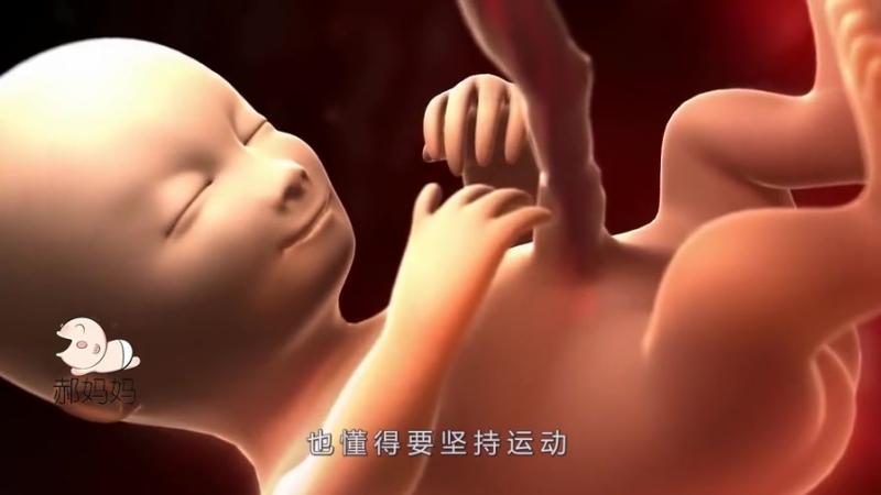 原来孕期胎宝宝在妈妈肚子里的日常是这样的,真是太搞笑了