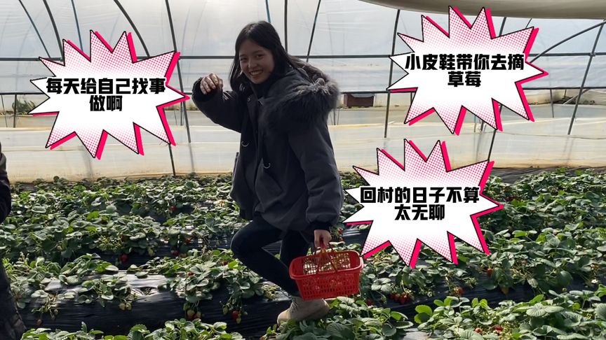 你们家那边草莓多少钱一斤呀?去草莓园摘草莓跟牛肉价格差不多呀