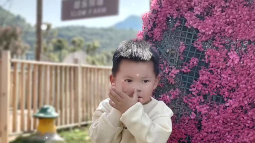 快乐长大,每一帧都是幸福瞬间#定格美好瞬间 #照片墙 #ae